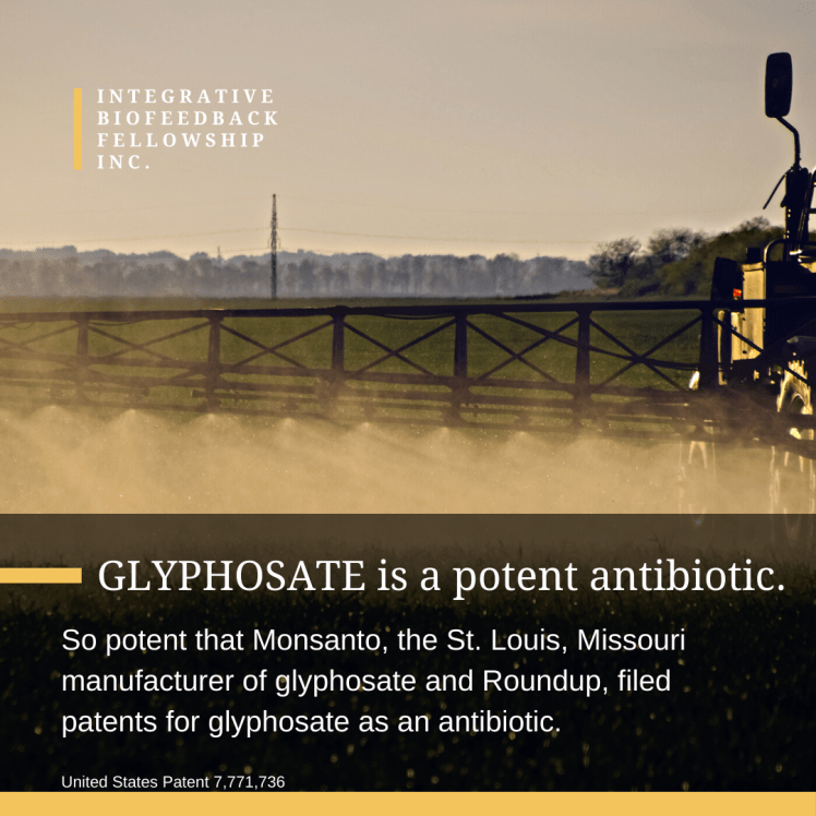 Aluminum and Glyphosate: A Binding Relationship – Restoration Wellness, LLC